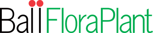 BallFloraPlant